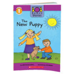 Bob Books Complete Bundle | Bob Books